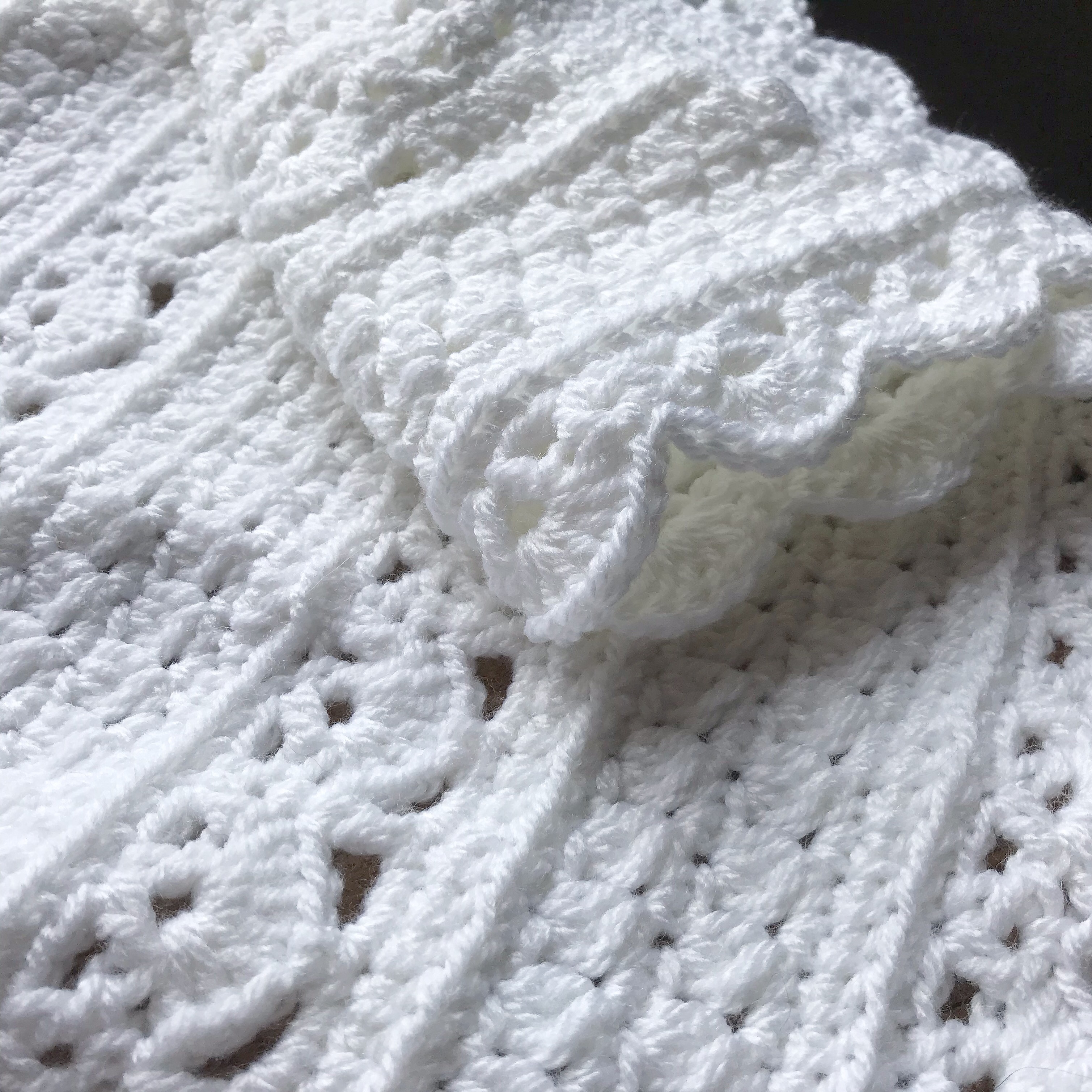 Blossoming Briar Rose | Intwined