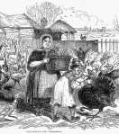 The Life Of Walter George Hillier, 1867-1946 | Intwined