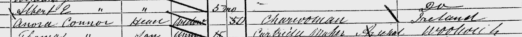 The Life Of Honora Carroll 1827-1872, Through Documentation. | Intwined