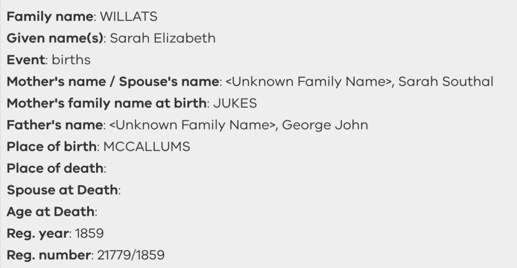 The Life Of William George Willats (Biggun), 1853-1897, The Early Years ...