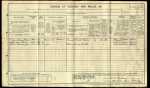 The Life Of Lilly Jenny Neilson Nee Willats, 1869-1947, Part 2 – Life ...