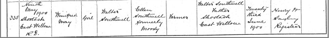 The Life Of Edith Ellen Southwell 1897–1987 Through Documentation ...