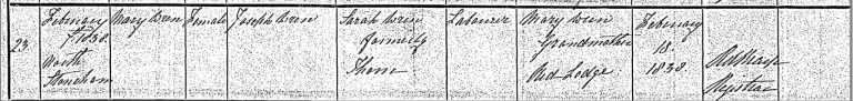The Life Of Elizabeth Wren 1831–1900 The Early Years Through ...
